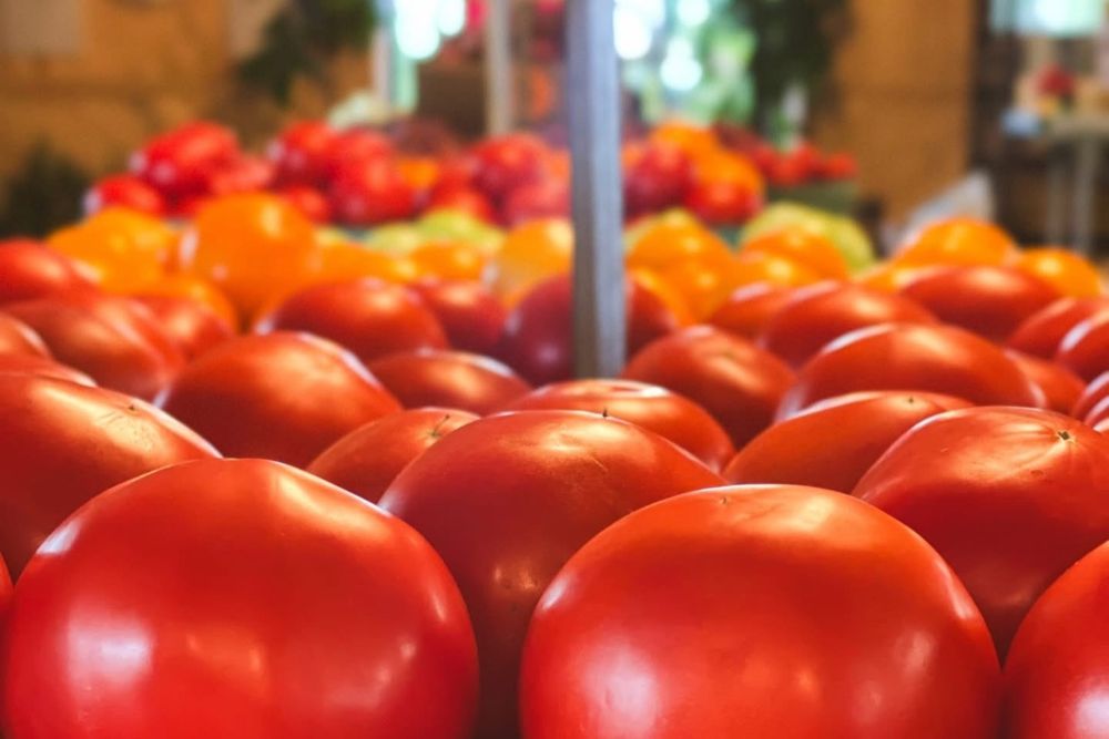 Red Planet: Blast off to Mars for The Great Pennsylvania Tomato ...