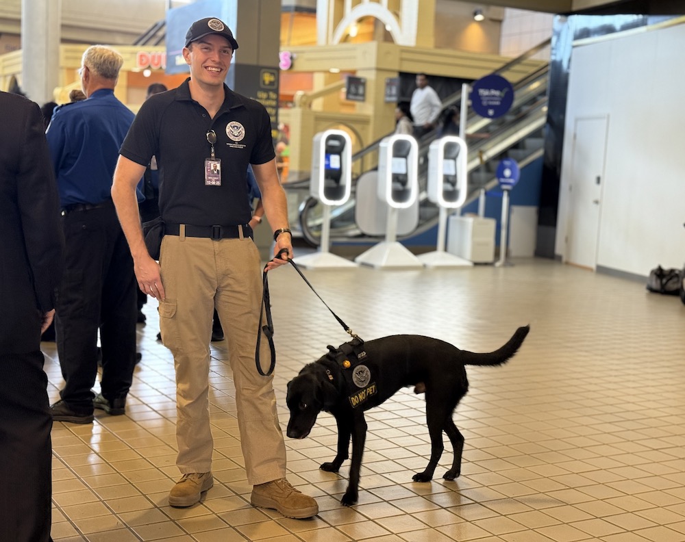 Pittsburgh Airport Dog Named Steeler Wins Cutest Canine Contest