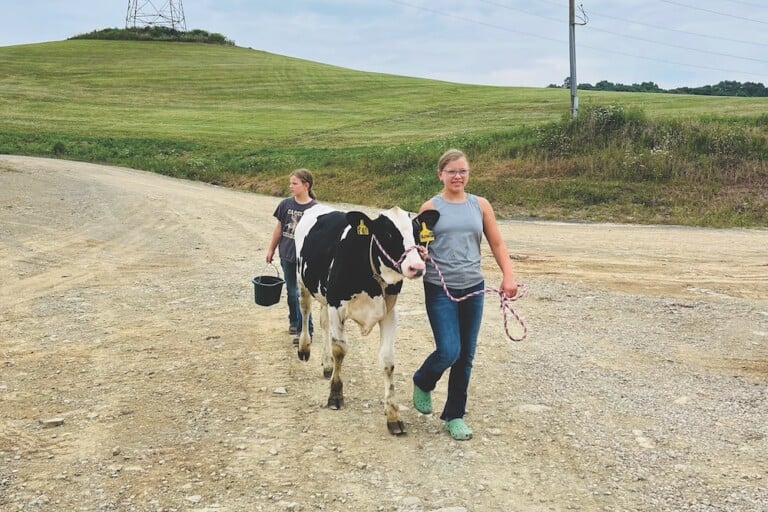 Yinzer Dogs Serves Franks With a Complimentary Side of Pittsburgh ...