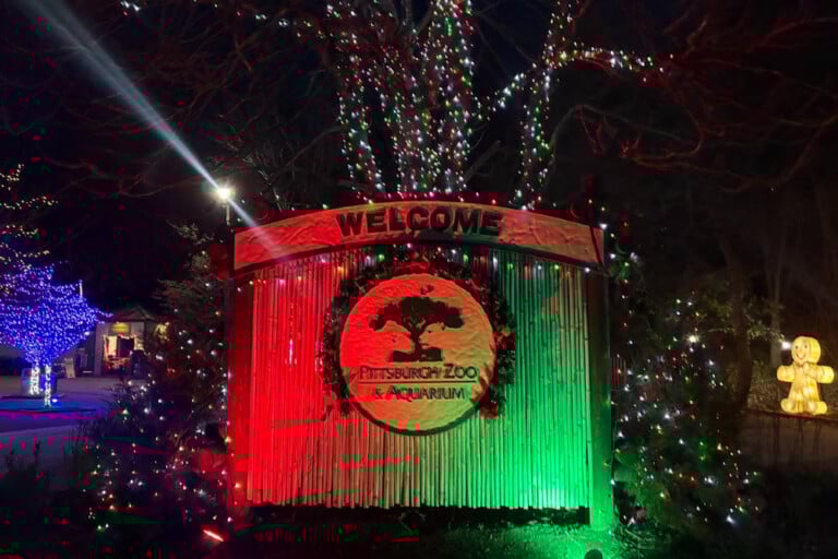 Duquesne University Appoints Provost David J. Dausey as its New ...