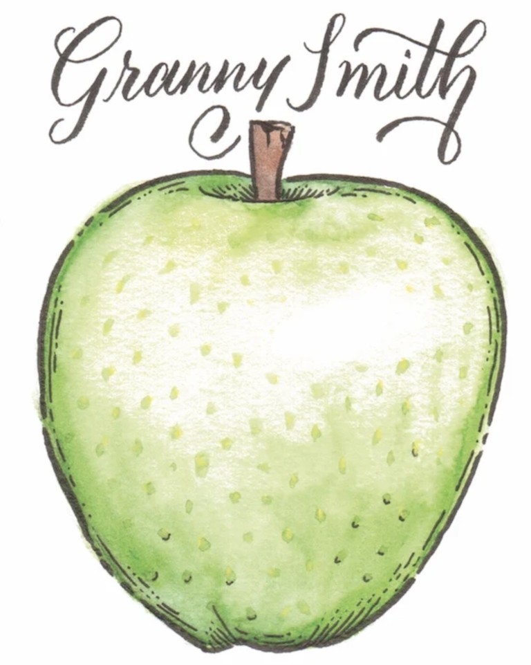 The Ultimate Guide to Apple Hill - Sactown Magazine