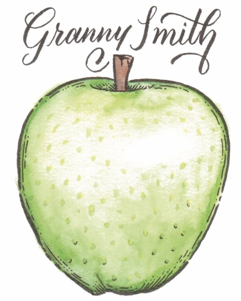 The Ultimate Guide to Apple Hill - Sactown Magazine