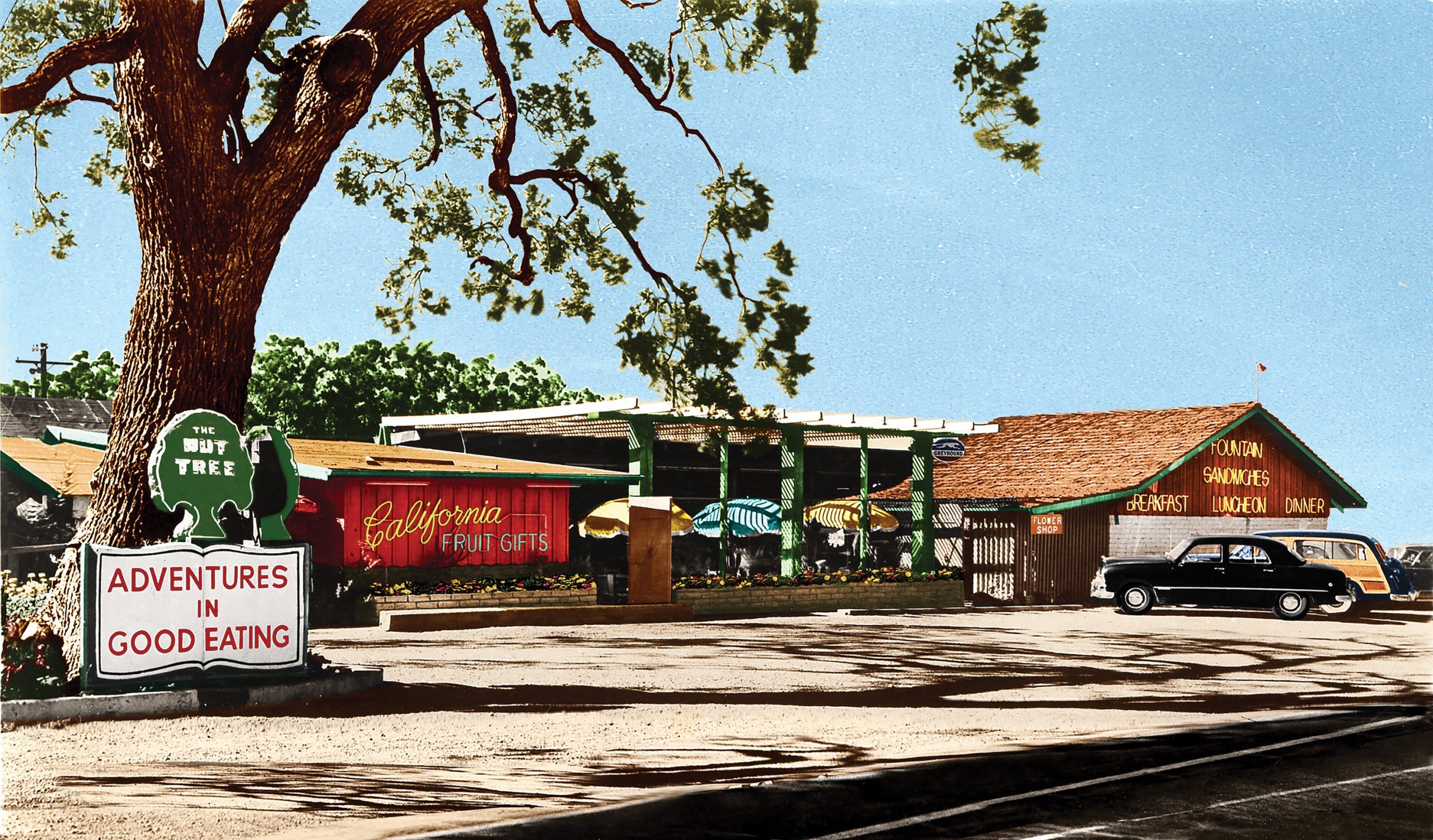 Nut Tree Forever - Vacaville's Nut Tree at 100 - Sactown Magazine