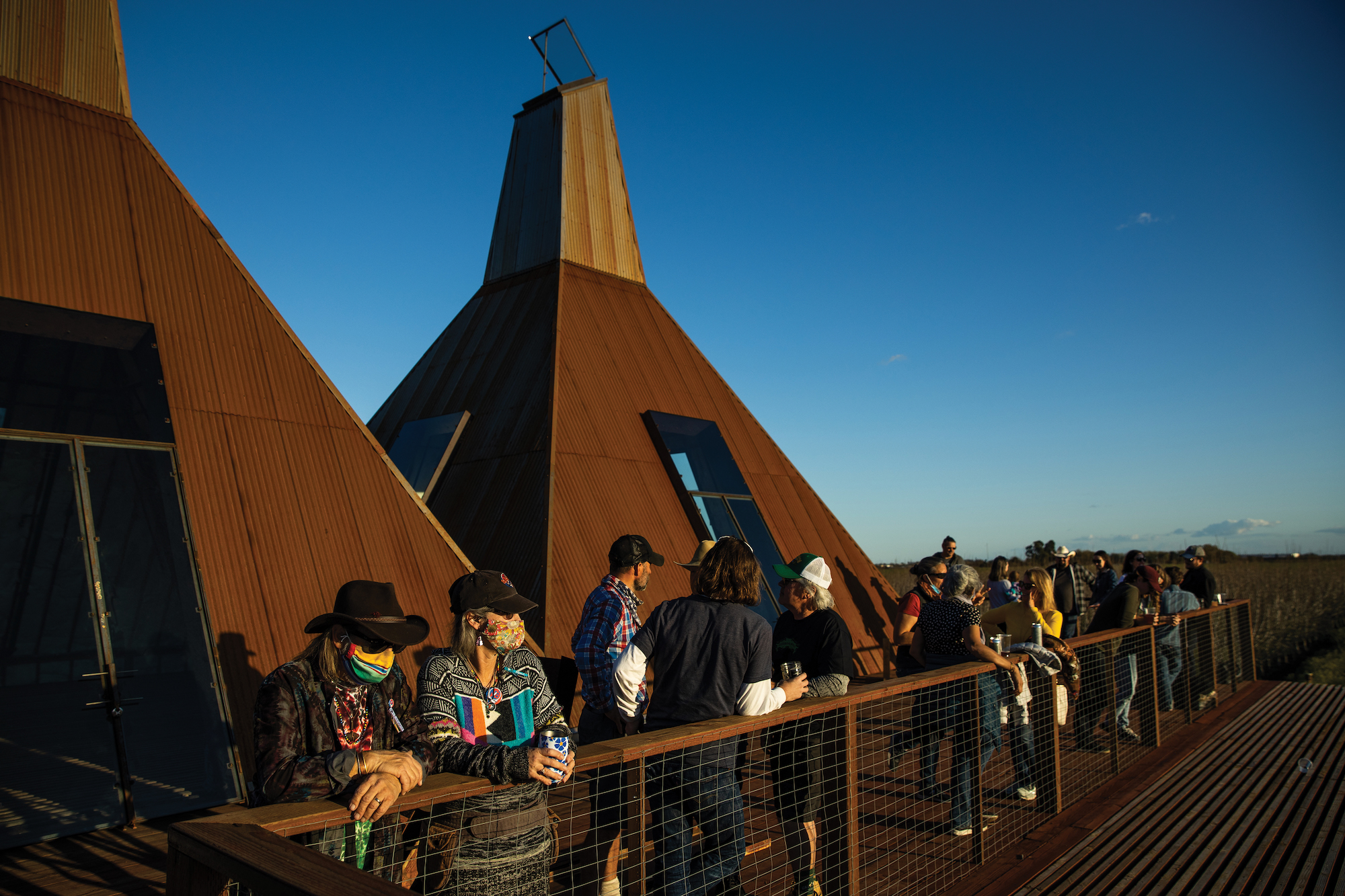 Field of Dreams - Ruhstaller Farm - Sactown Magazine