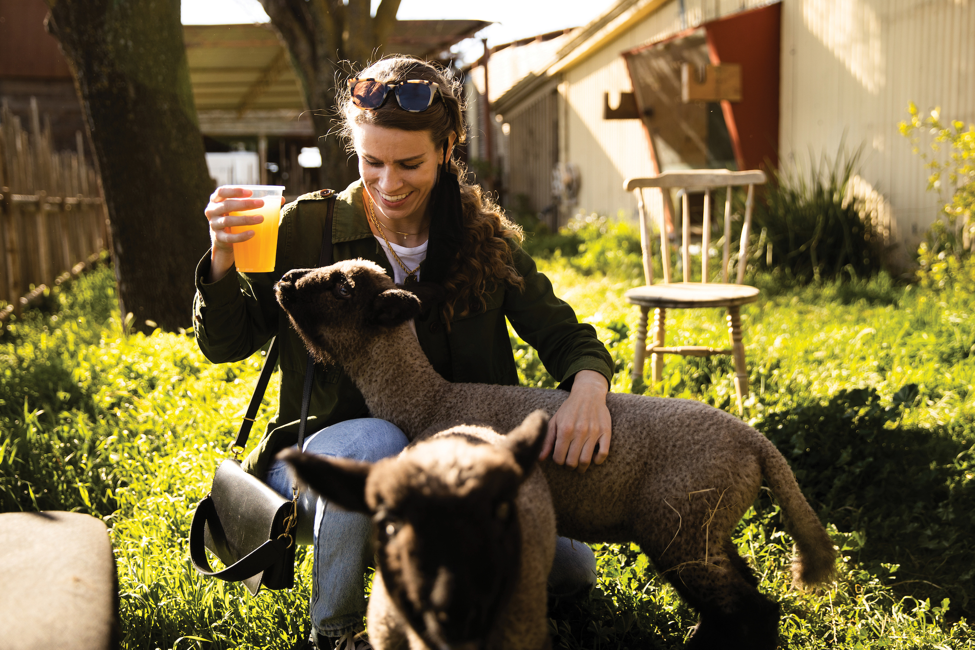 Field of Dreams - Ruhstaller Farm - Sactown Magazine