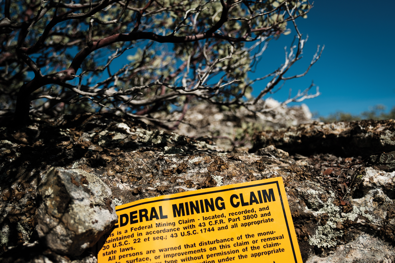 Modern Prospectors - The New Golden Age - Sactown Magazine