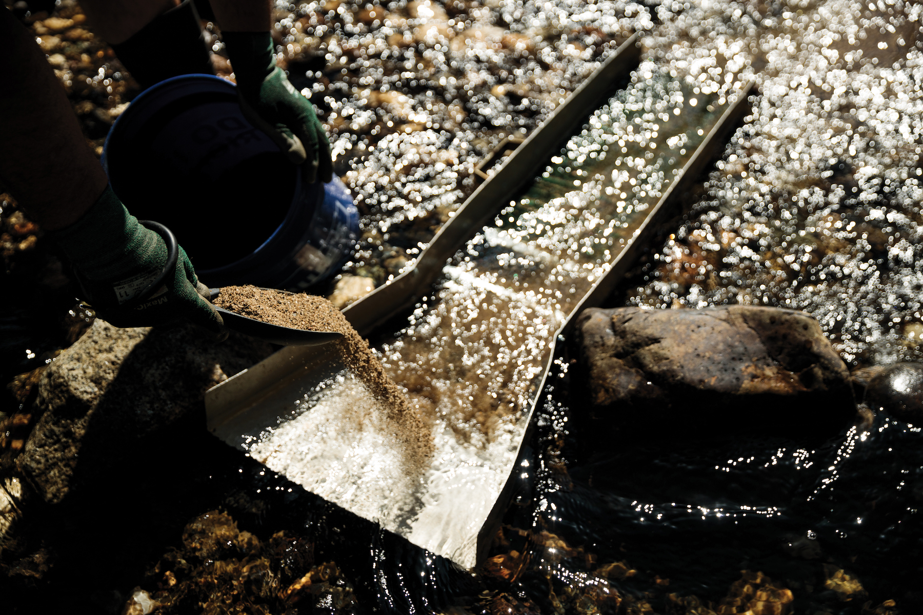 Modern Prospectors - The New Golden Age - Sactown Magazine