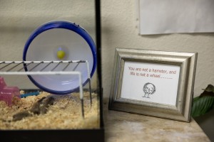 From the (Uncluttered) Desk of Dr. Robin Zasio - Sactown Magazine