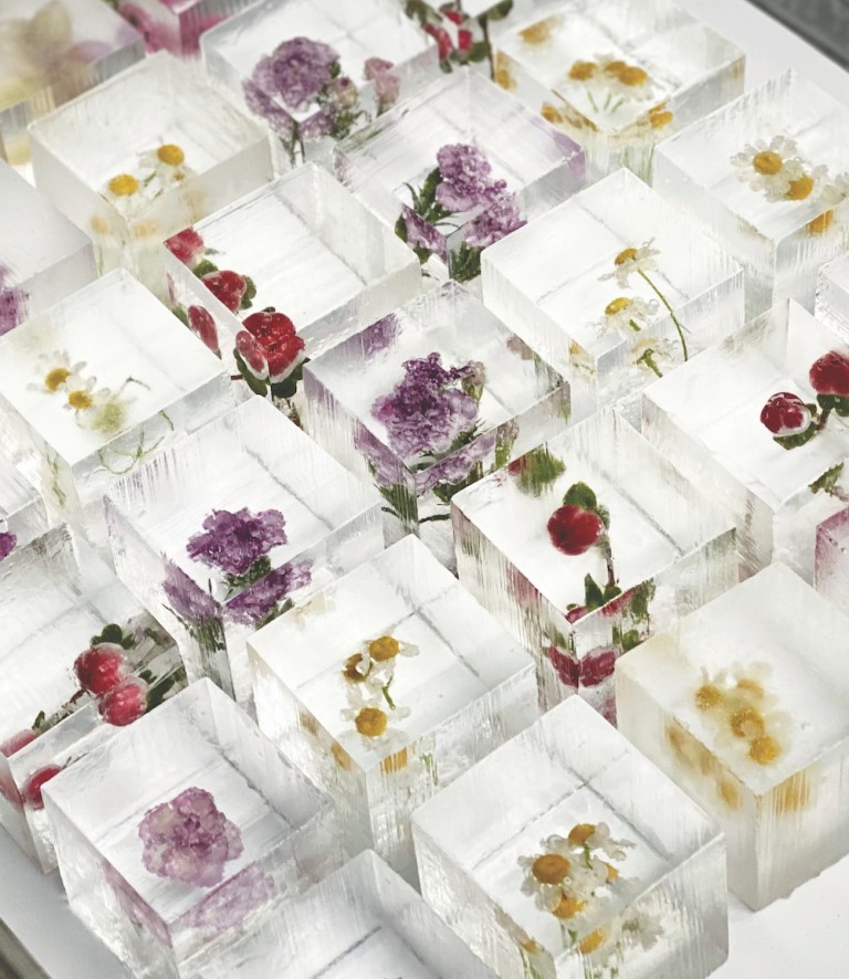 Nice Ice, Baby - Artisinal Ice from Block Ice - Sactown Magazine