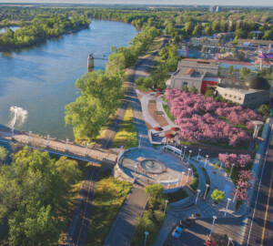 The City of Trees: A Love Letter - Sactown Magazine
