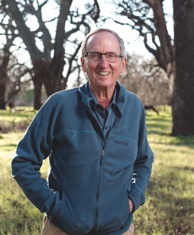 The City of Trees: A Love Letter - Sactown Magazine