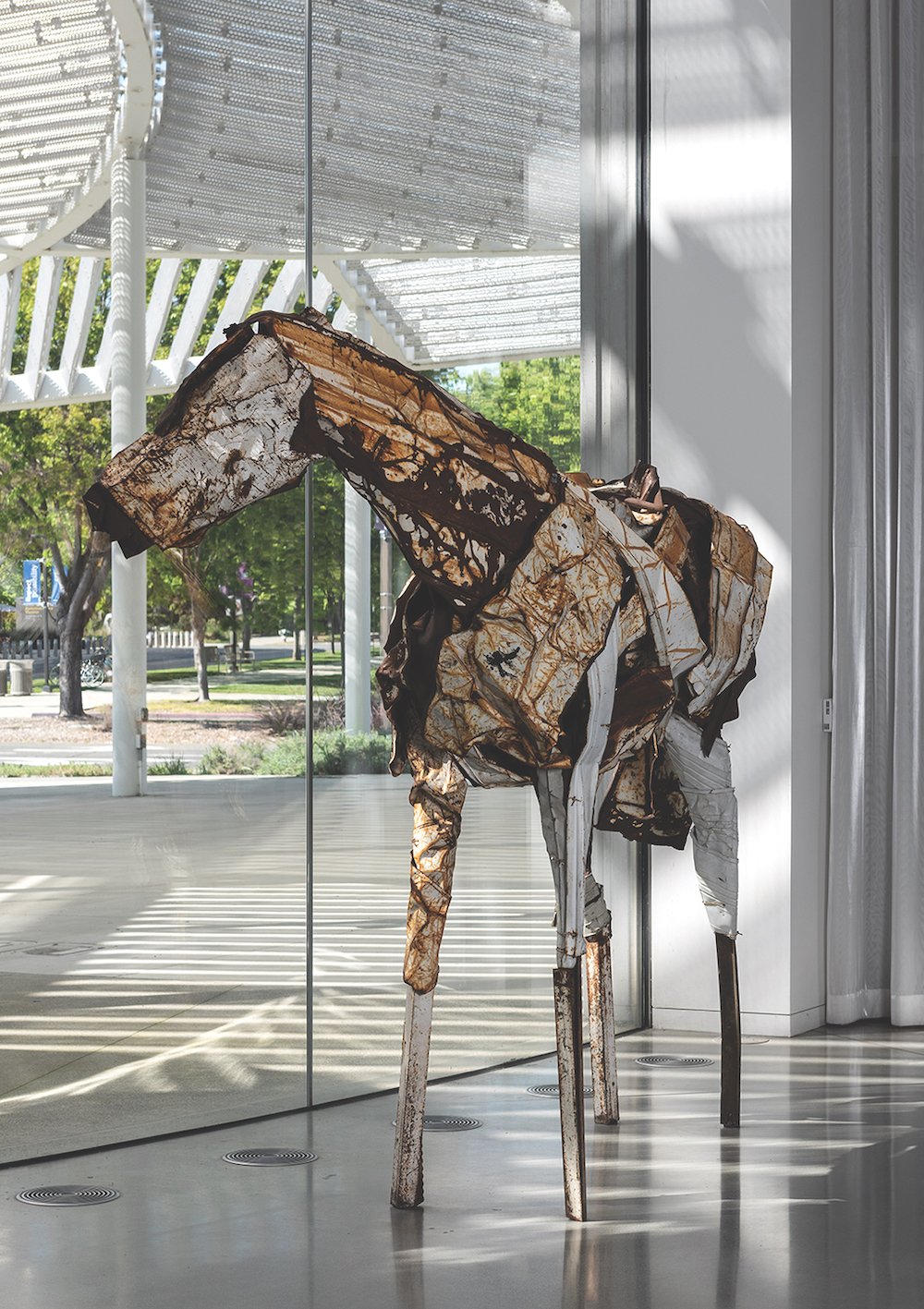 Horses of a Different Color - Deborah Butterfield - Sactown Magazine