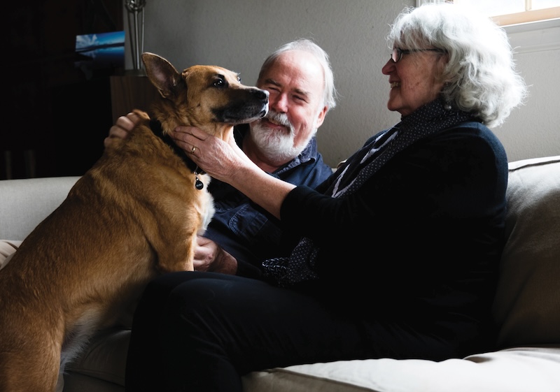 The Art of Gratitude - Davis Multimedia Artist Dave Webb - Sactown Magazine