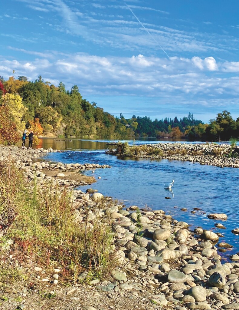 Take Me to the River - Lower American River Guide "Mildly Scenic"