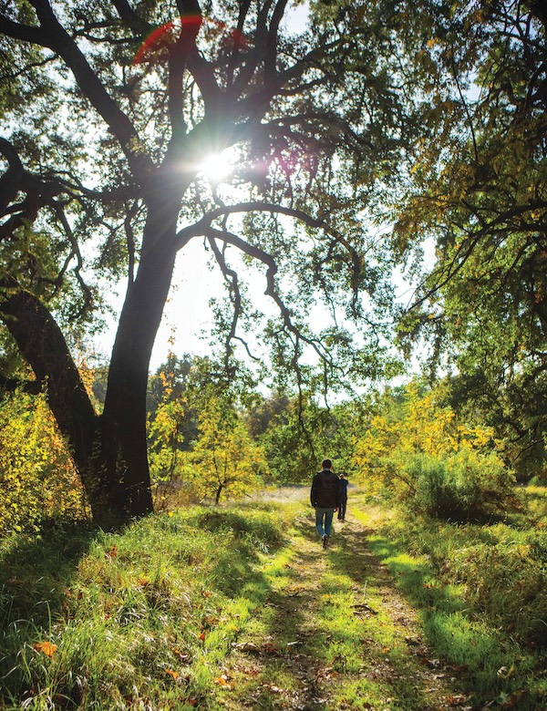 Take a Hike - 10 Scenic Fall Hikes in the Sacramento Region - Sactown ...