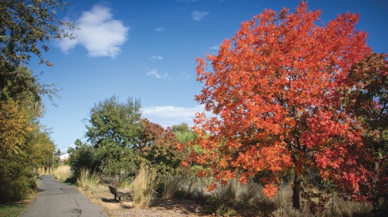 Take a Hike - 10 Scenic Fall Hikes in the Sacramento Region - Sactown ...