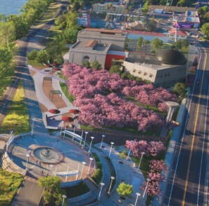 The Hanami Line - Coming into Bloom - Sactown Magazine