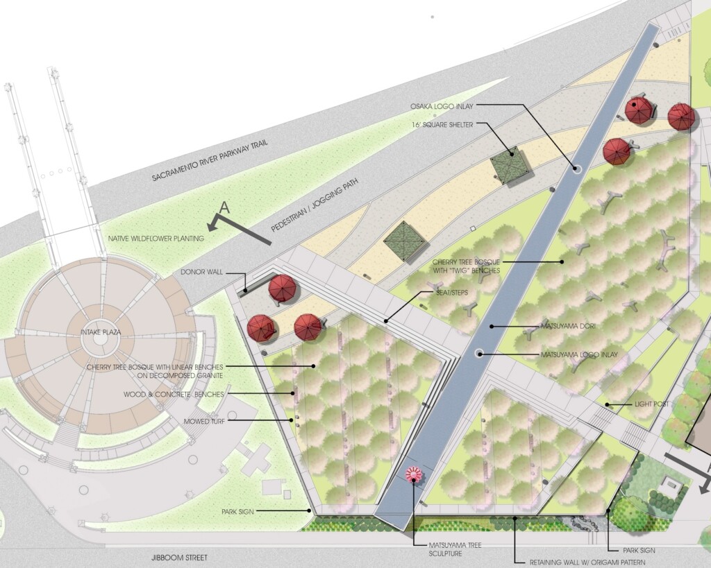 The Hanami Line - Coming into Bloom - Sactown Magazine
