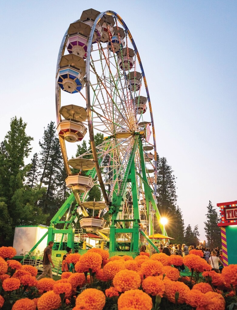 Fairs and Festivals to wrap up summer with a blast - Sactown Magazine