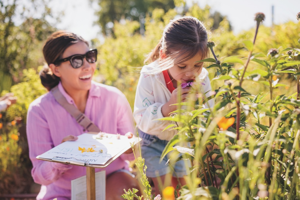 The Seeds of Change - Soil Born Farms - Sactown Magazine