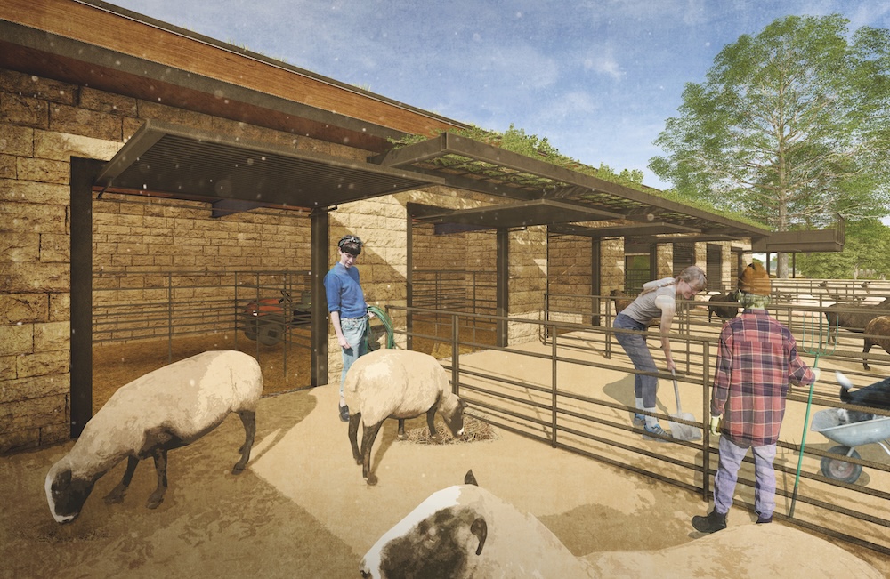 The Seeds of Change - Soil Born Farms - Sactown Magazine