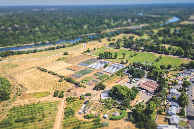 The Seeds of Change - Soil Born Farms - Sactown Magazine
