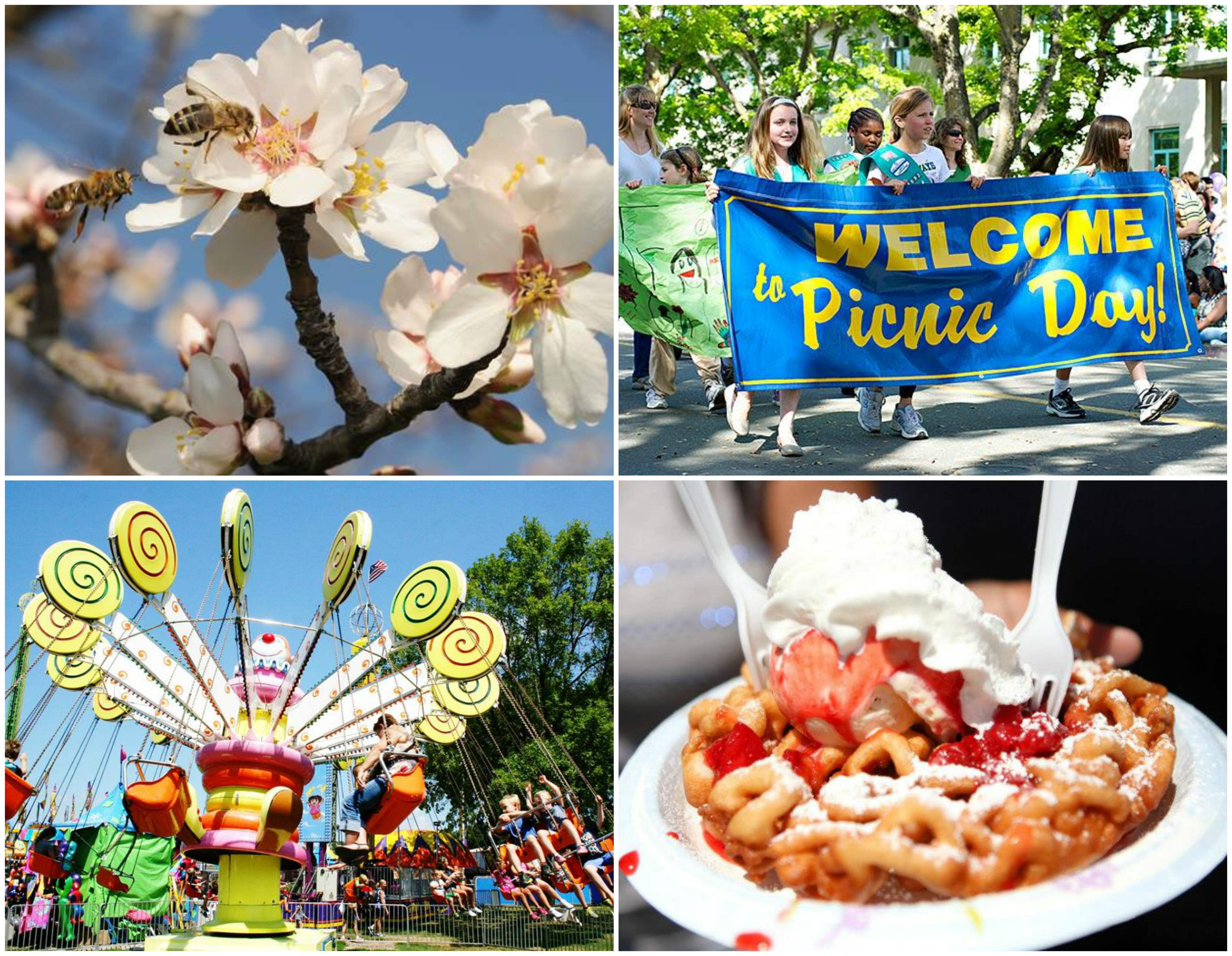 10 warm-weather events in and around Sacramento this spring