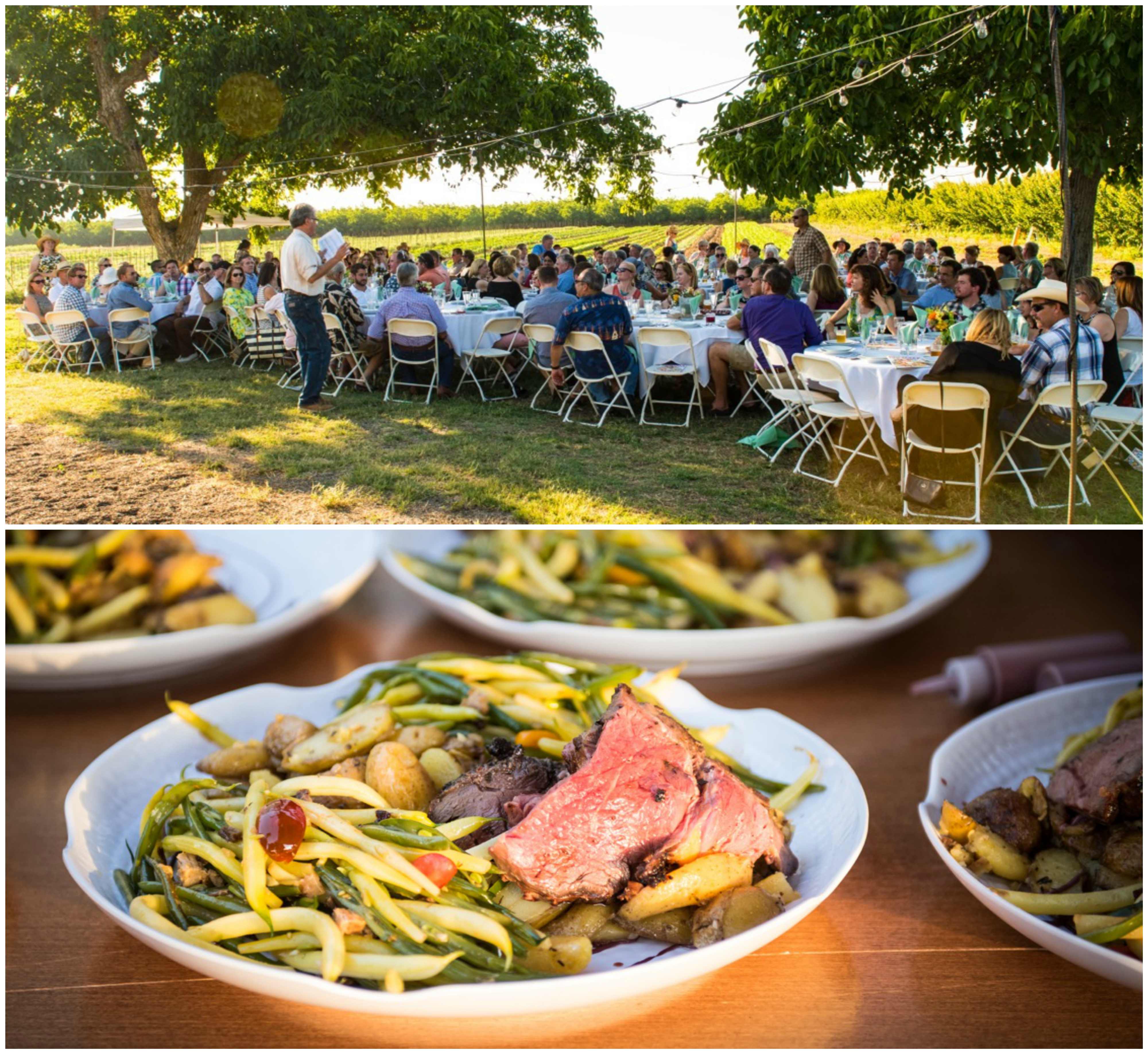 6 festive farm events near Sacramento this summer and fall