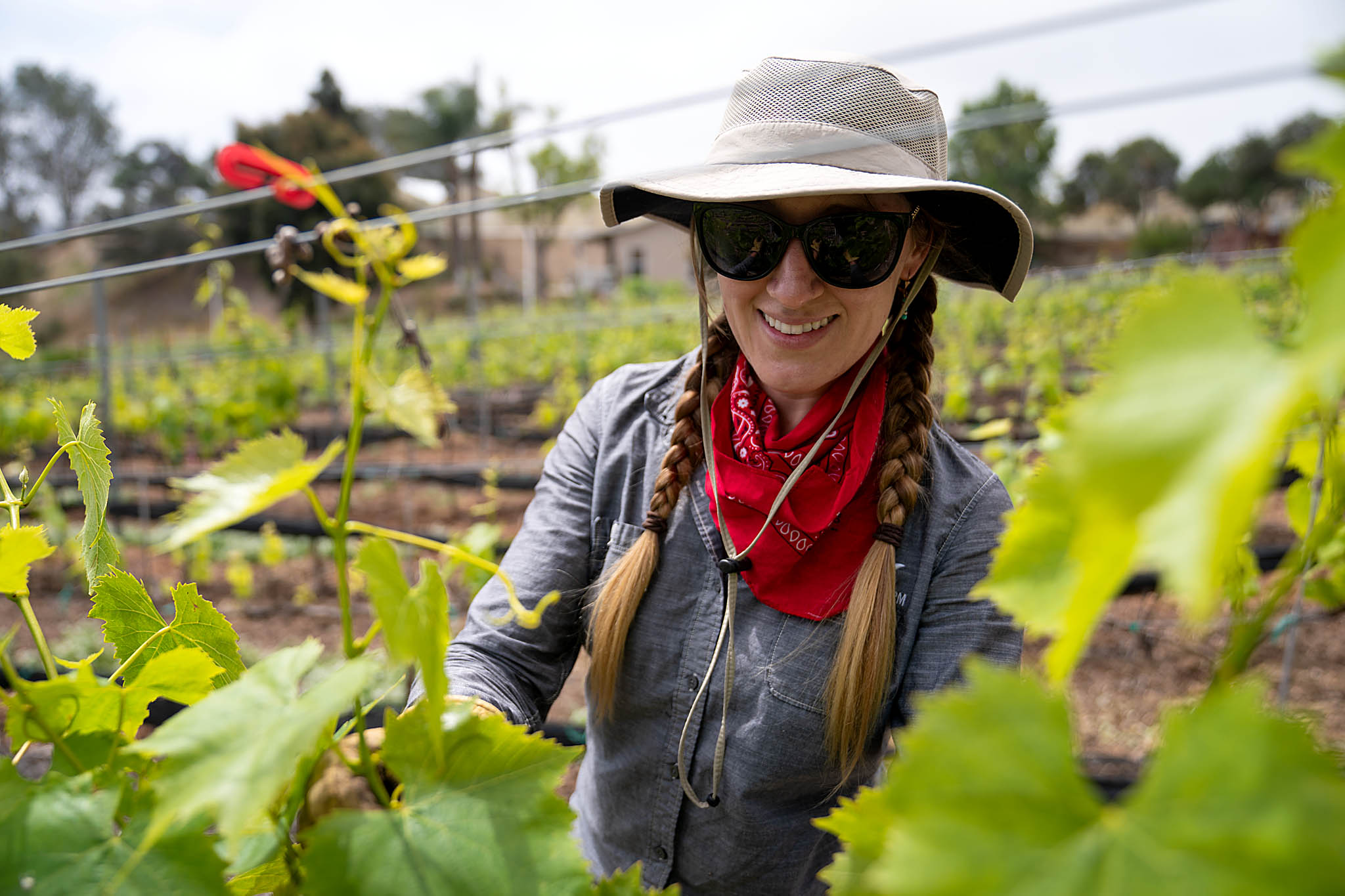 6 Cool Nearby Farms You Have to Visit - San Diego Home/Garden Lifestyles