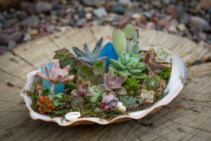 Design Inspiration - San Diego Home/Garden Lifestyles