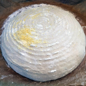 The Secret Life of Bread - San Diego Home/Garden Lifestyles