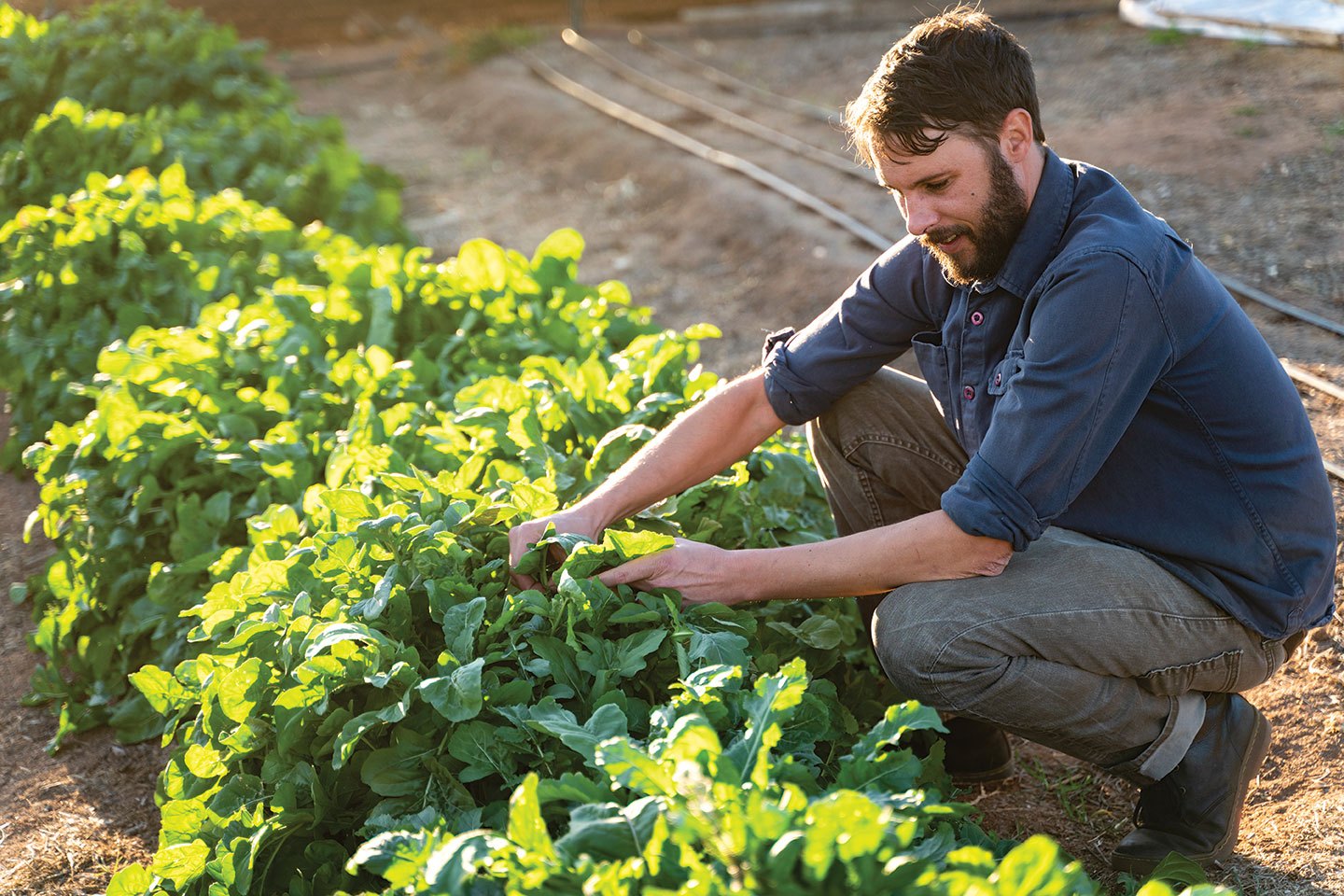 San Diego Farm to Fork Week 2019 - San Diego Home/Garden Lifestyles