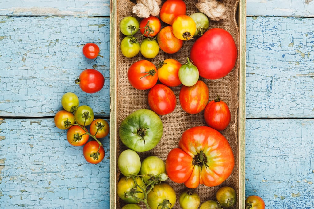 5 Secrets to Increasing Your Tomato Yield - San Diego Home/Garden ...