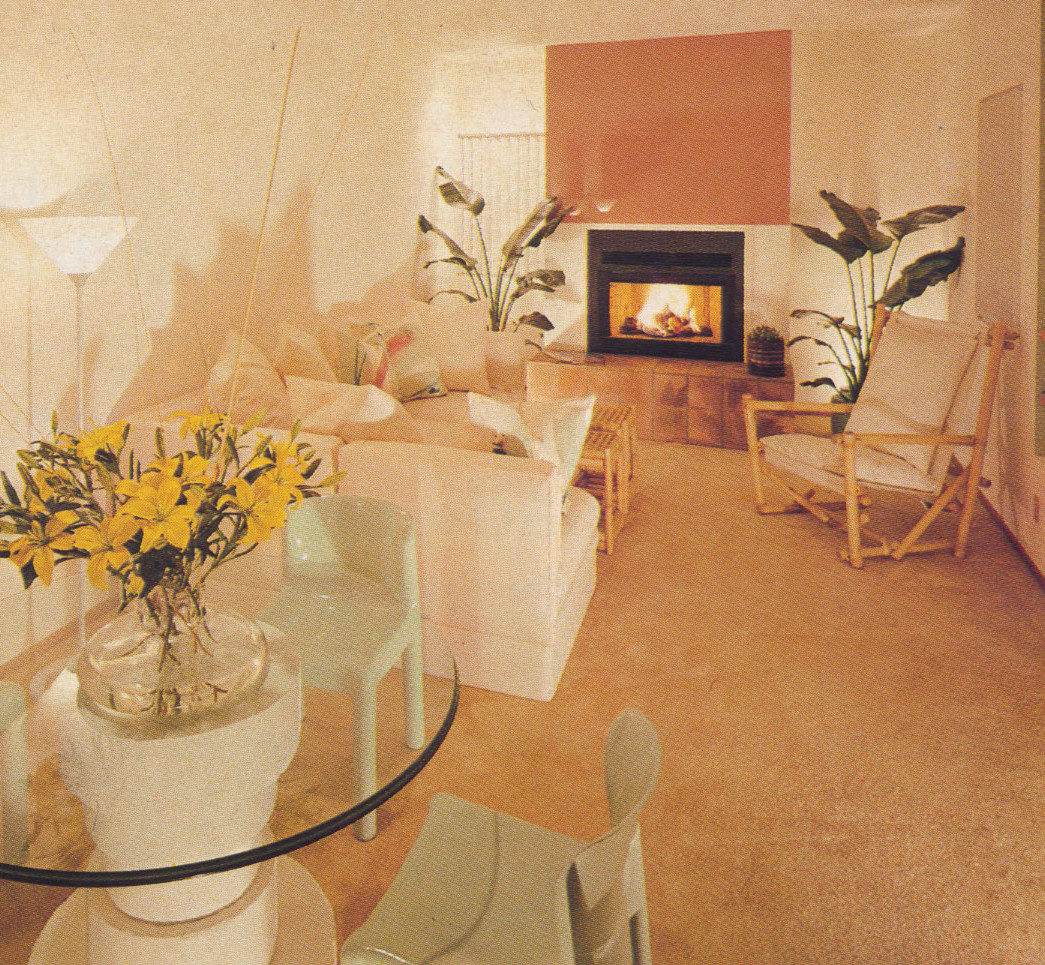 Flashback to a 1982 Rob Quigley Cover - San Diego Home/Garden Lifestyles