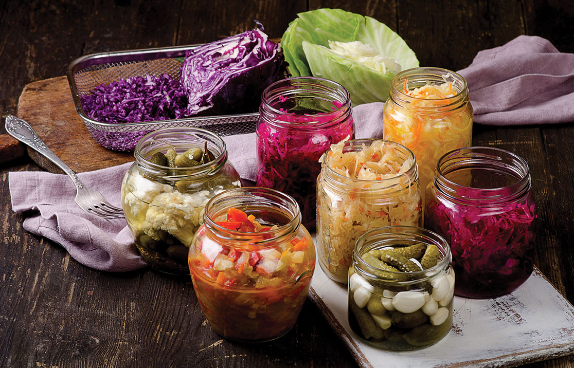 Fermenting Basics - San Diego Home/Garden Lifestyles