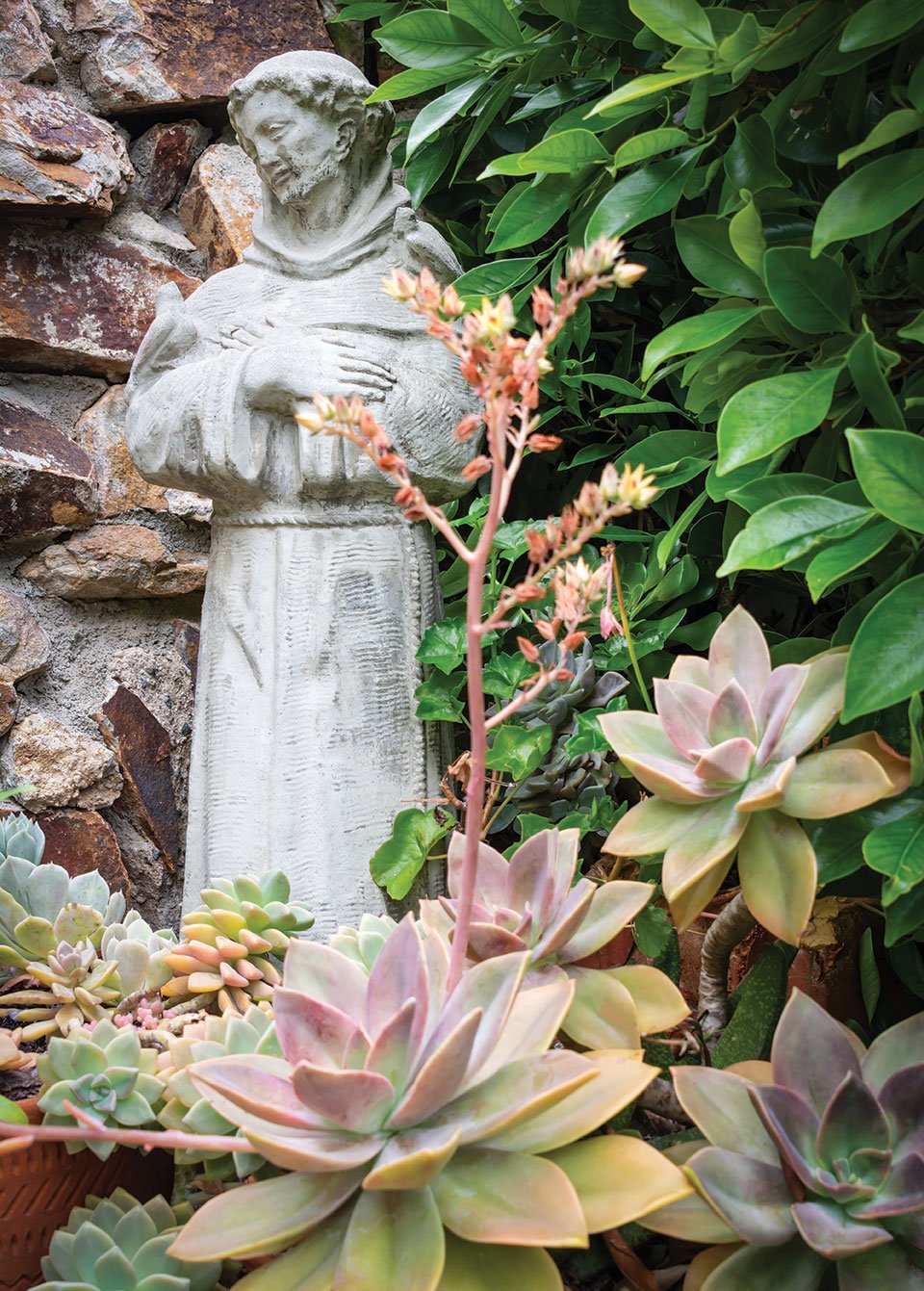 Backyard Terraces Above the Bay - San Diego Home/Garden Lifestyles