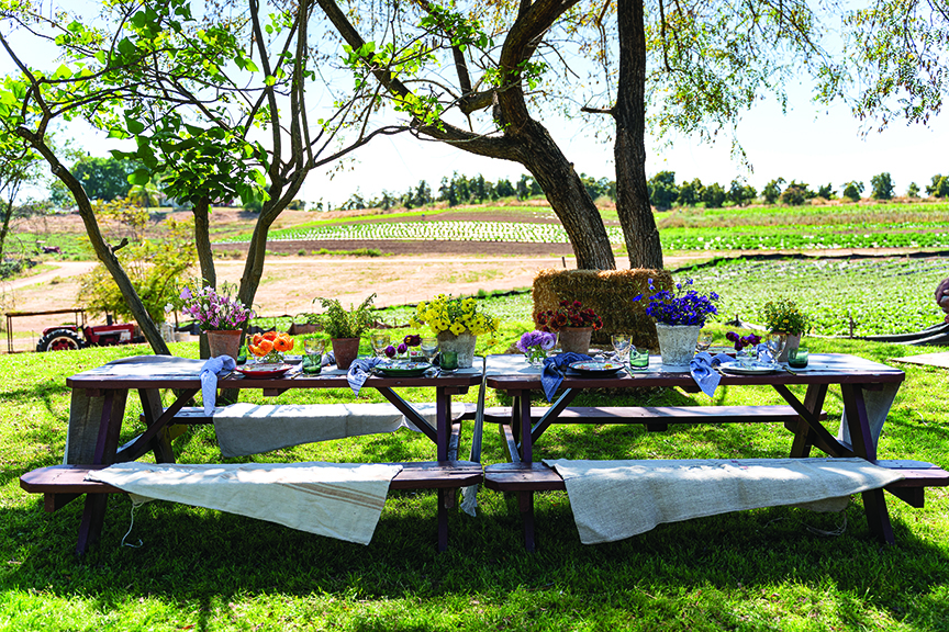 Whole-Animal Cooking with UKG - San Diego Home/Garden Lifestyles