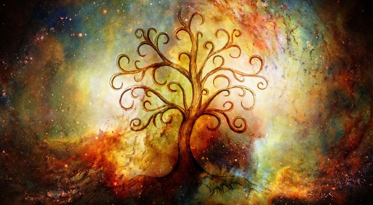 Secrets Of The Trees: Celtic Tree Astrology - Spirit of Change Magazine
