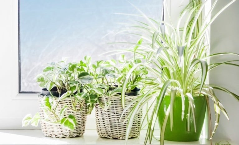 Hidden Sources Of Indoor Air Pollution And 10 Ways To Avoid Them ...