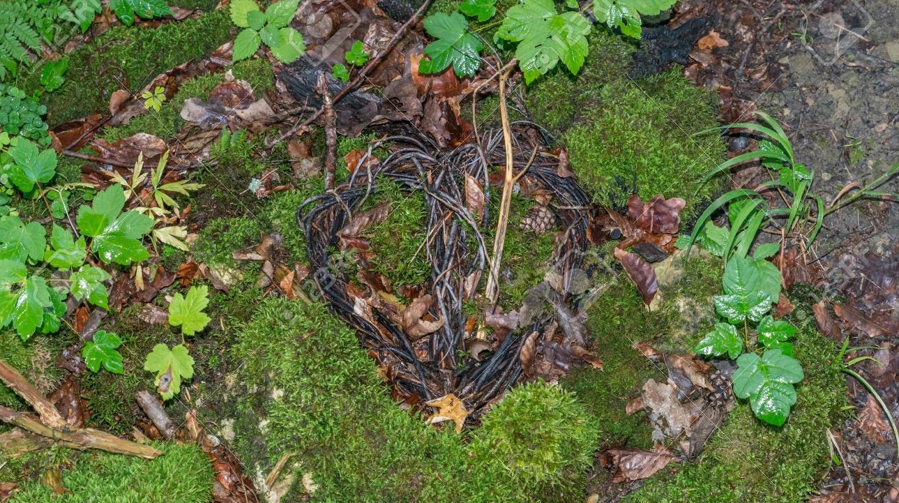 The Most Popular Alternative Funeral Types In The U.S. - Spirit of ...