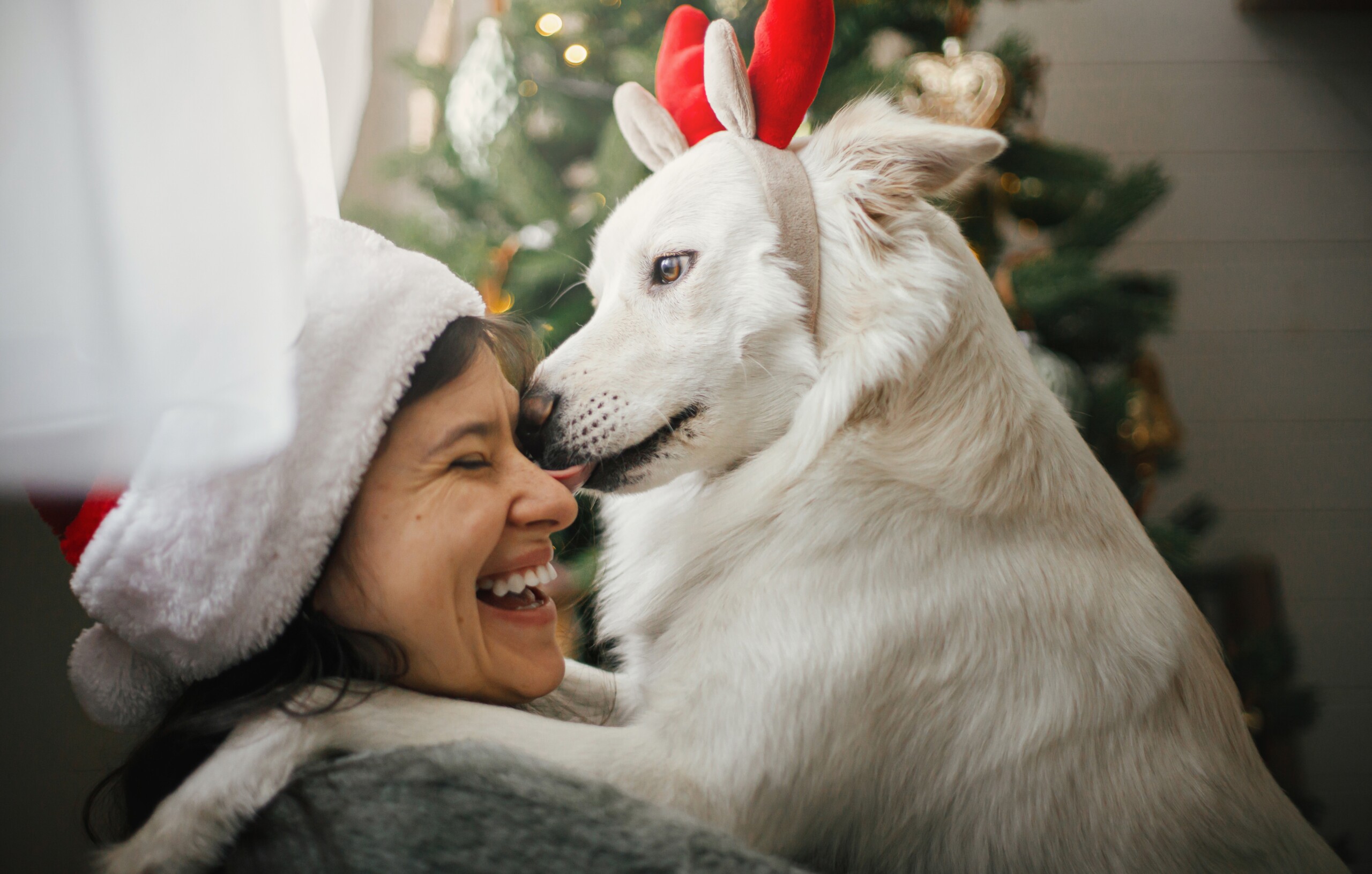 How Hugs Heal — Have You Had A Hug Today? - Spirit of Change Magazine