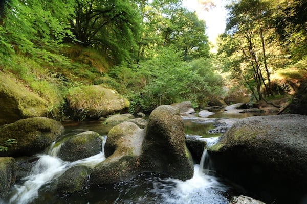 Fairy Lore From Magical France - Spirit of Change Magazine