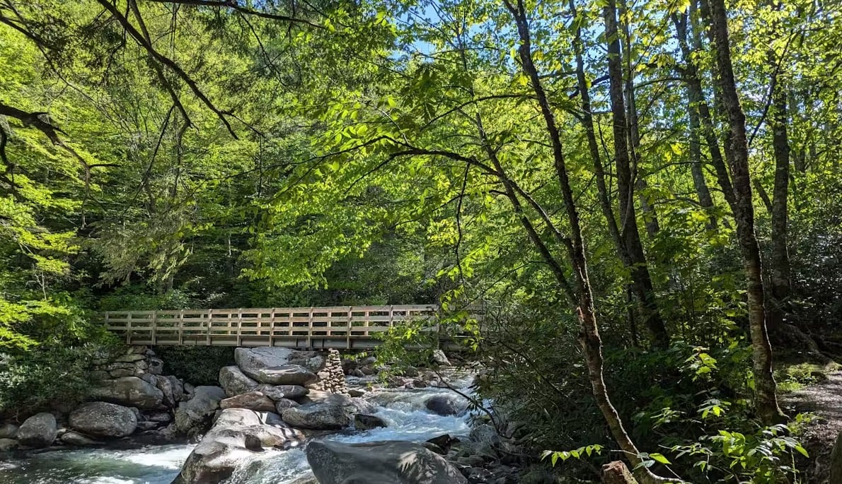 How To Poop Outdoors In A Way That Won’t Harm The Environment And Other ...