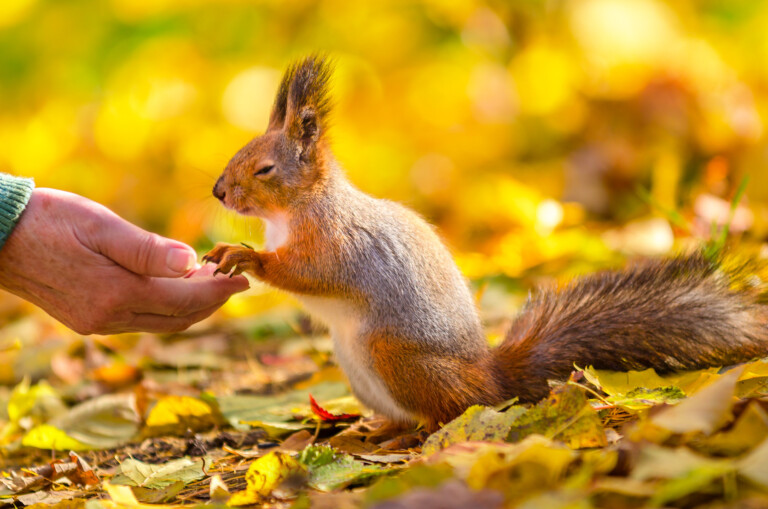 Six Simple Activities To Build A Closer Connection With The Living ...