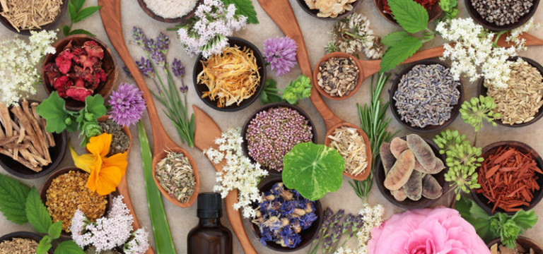 Nature's 9 Most Powerful Medicinal Plants And The Science Behind Them ...