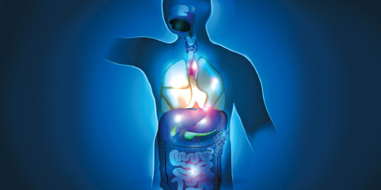 Life Changing Digestive Health - Spirit of Change Magazine