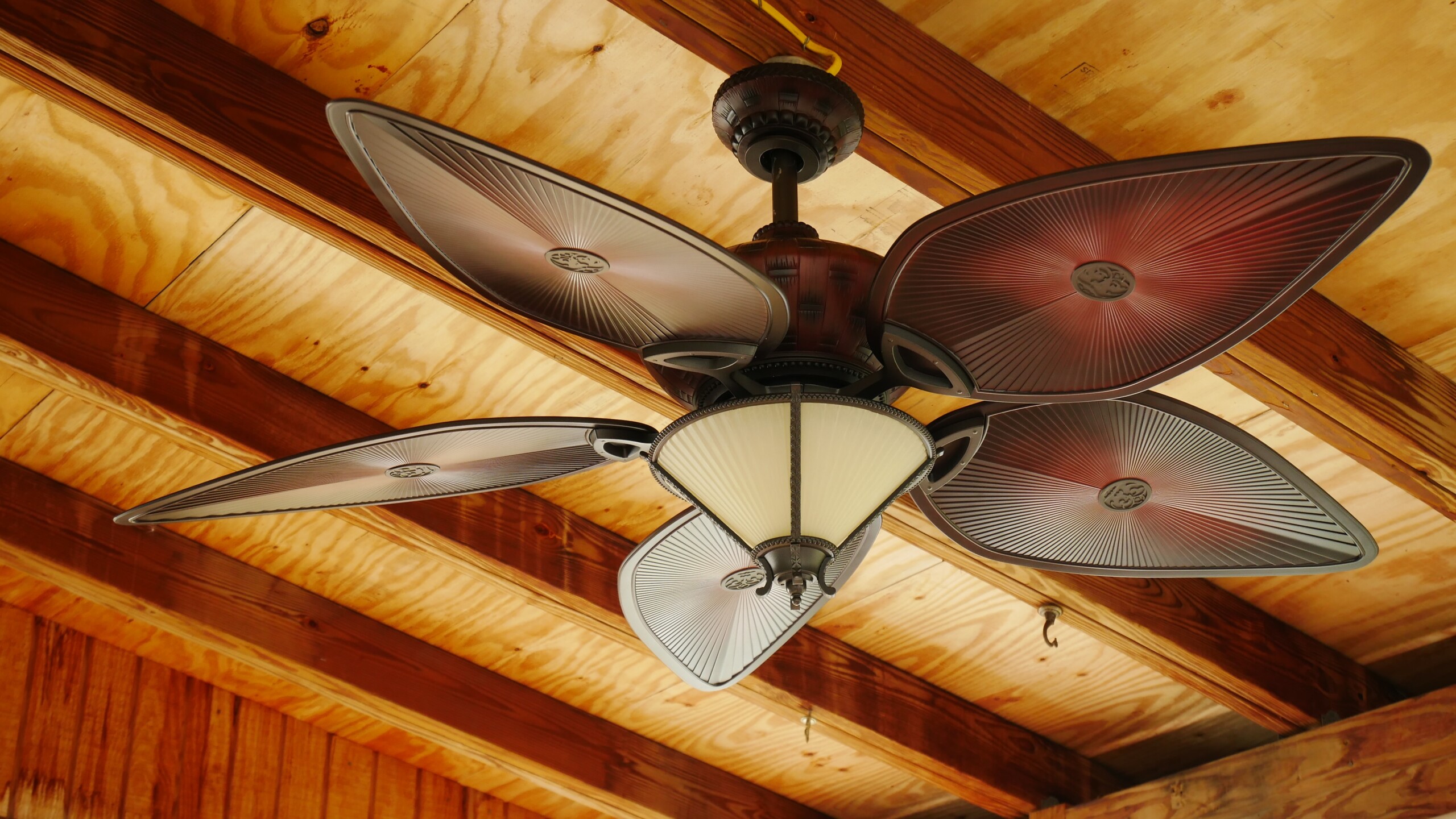 Summer Tip: Turn Ceiling Fans Off When You're Not in the Room - Sunny ...