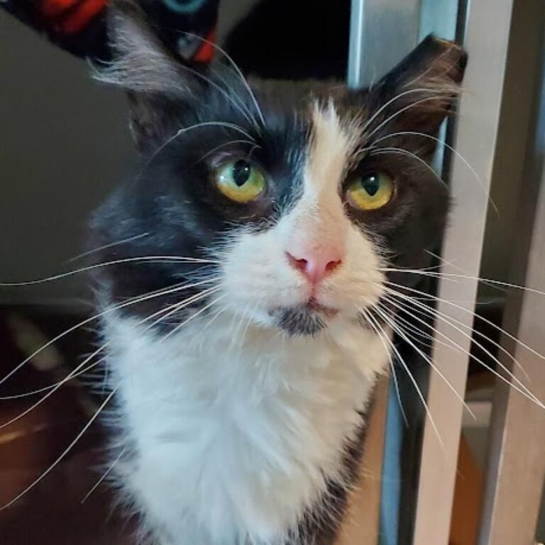 Sunny 92.3 | WDEF-FM