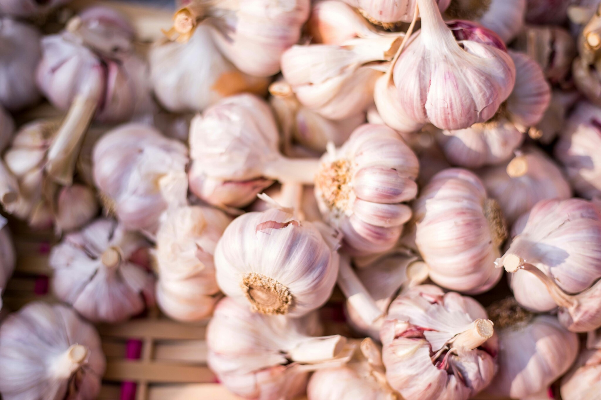 Garlic Makes You Smell Sexier - Sunny 92.3 | WDEF-FM