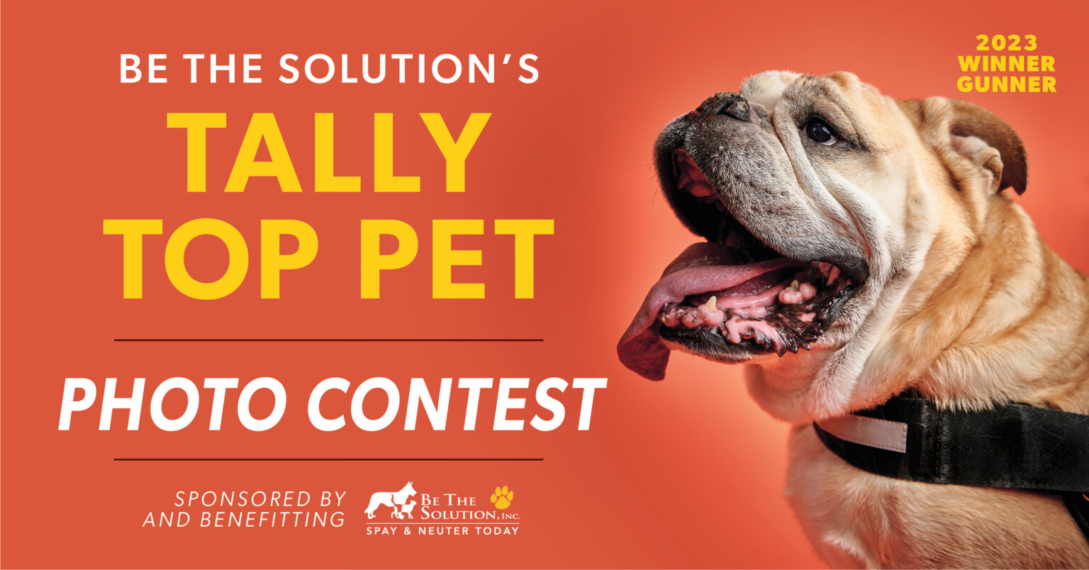 Tally Top Pet Rules and Regulations - Tallahassee Magazine
